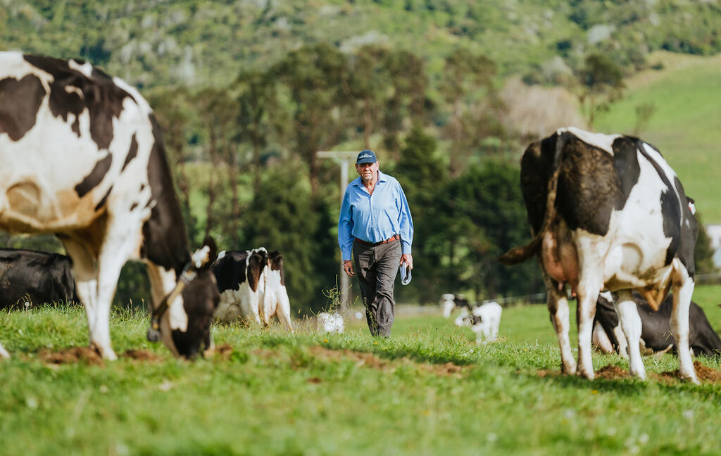 Dairy | PGG Wrightson